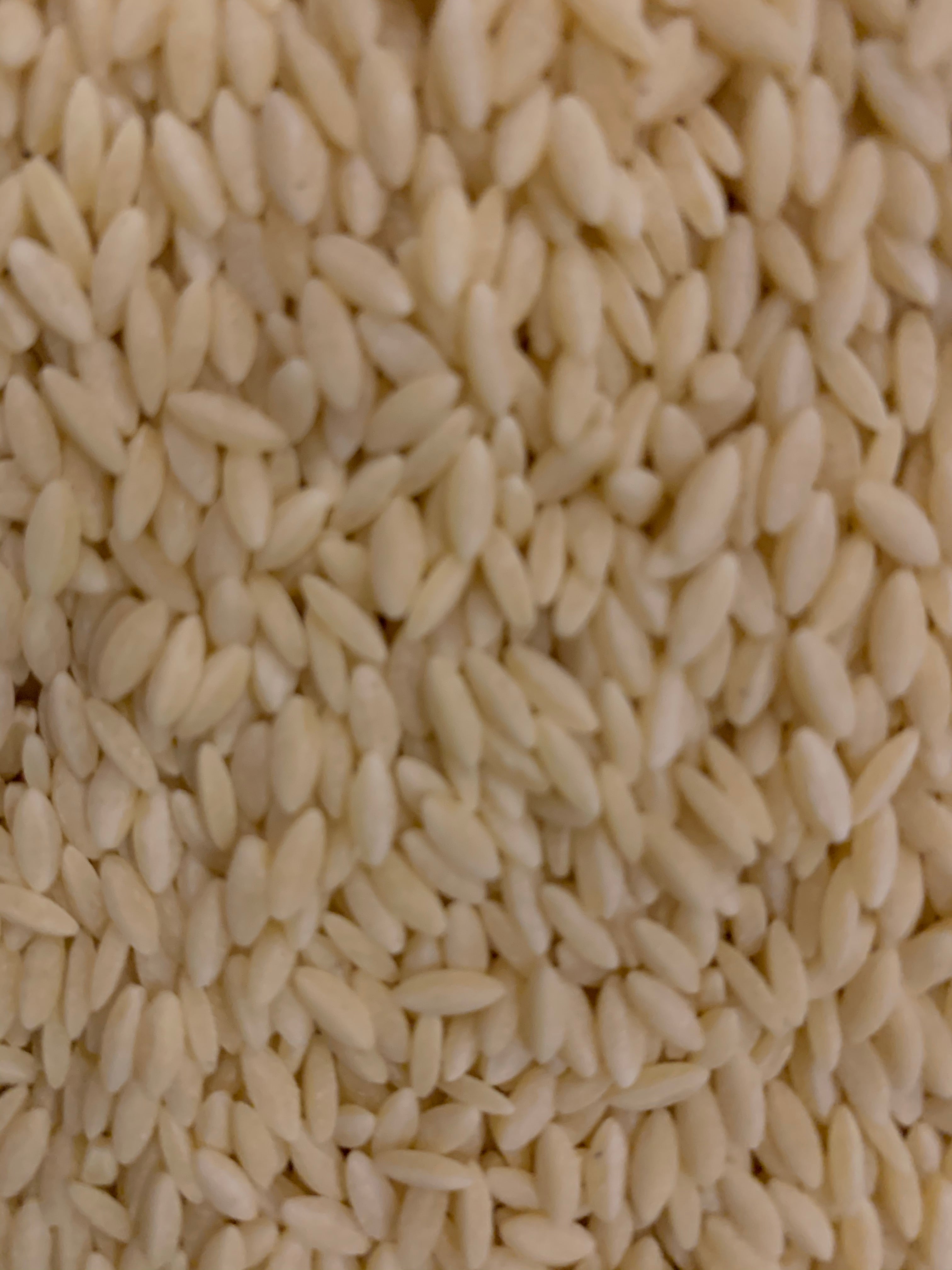 Orzo 500g – Preserve Foods