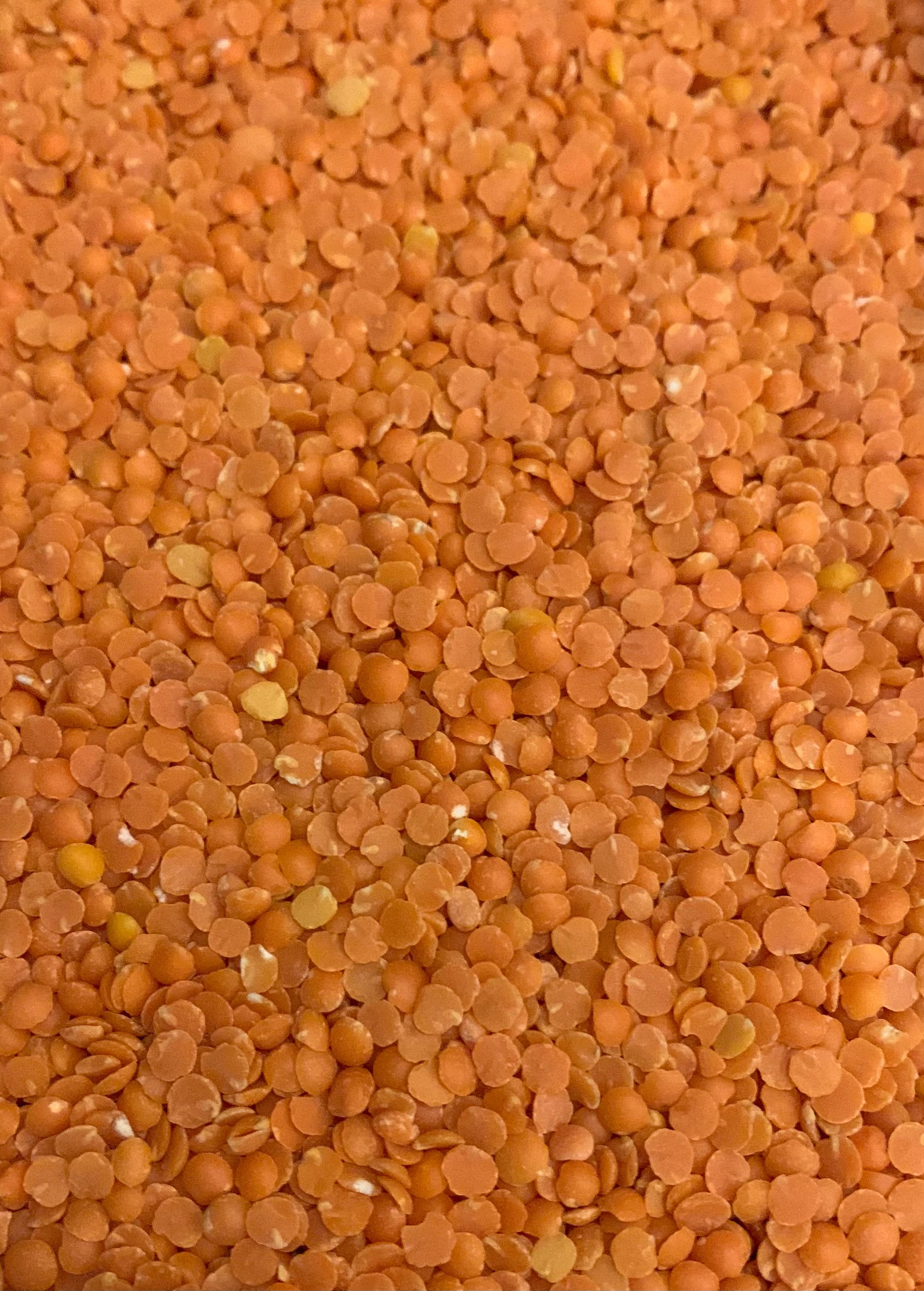Lentils Red Split 500g – Preserve Foods